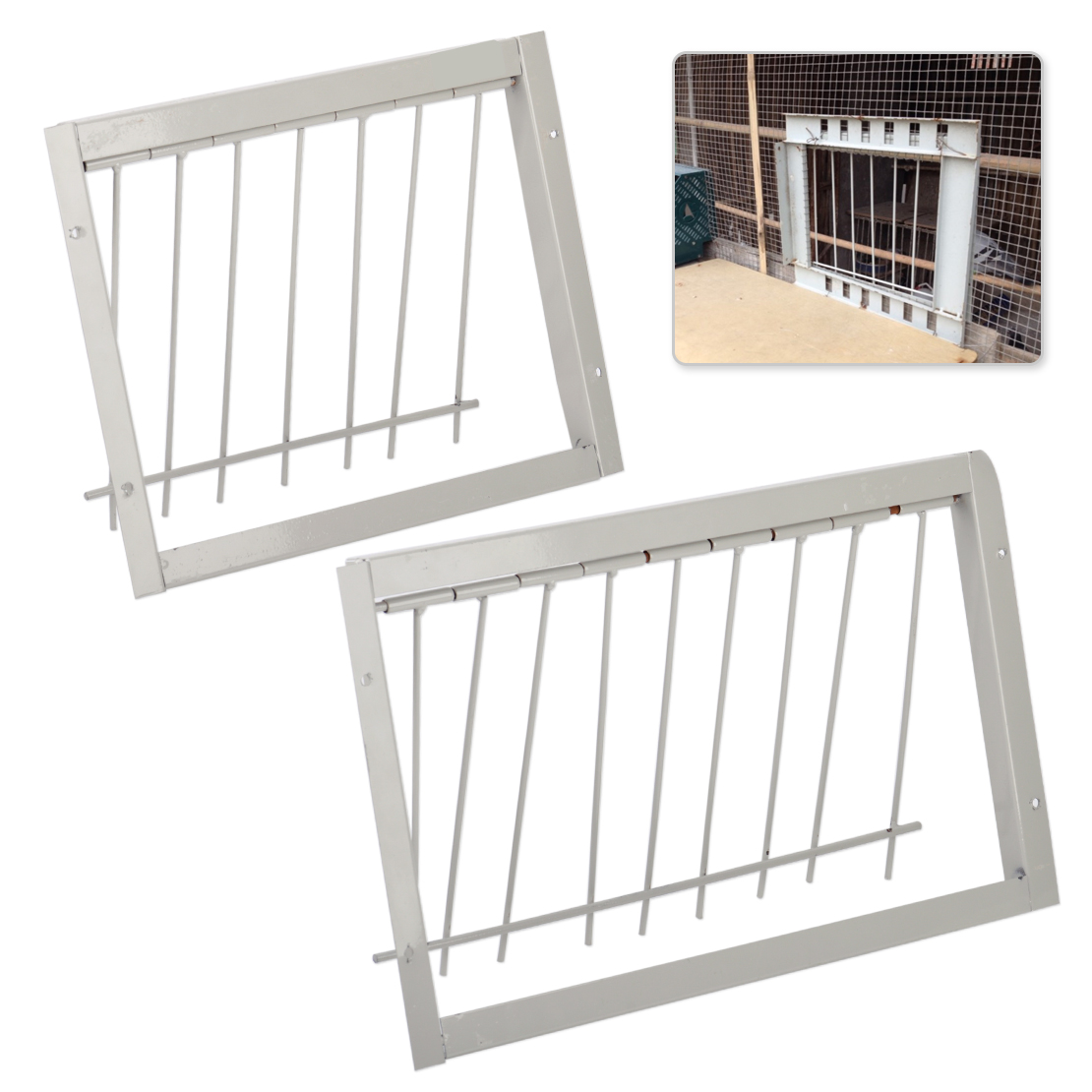 Fantail Pigeon Loft